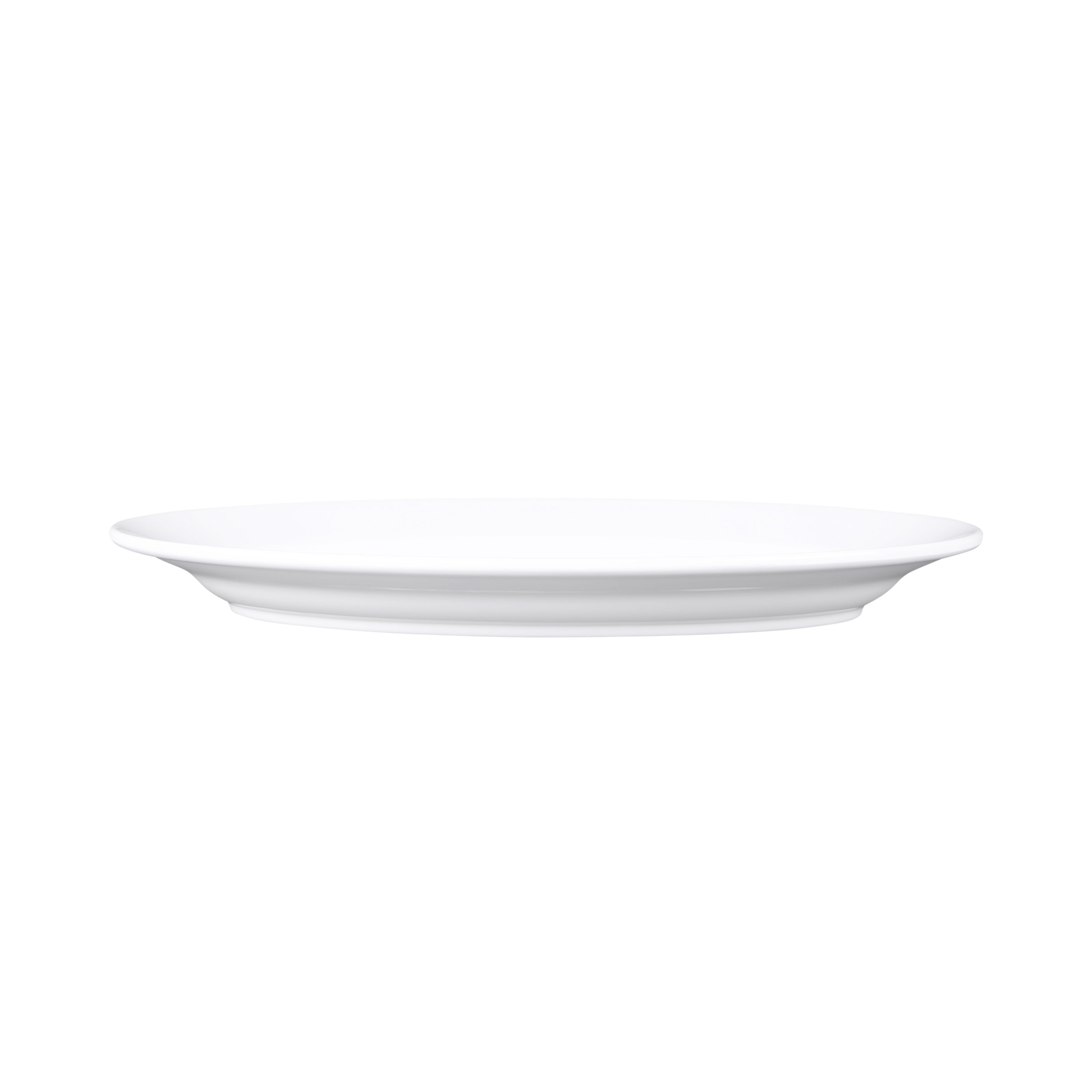 Elite Global Solutions Simplicity 10" Melamine Dinner Plate - Wayfair ...