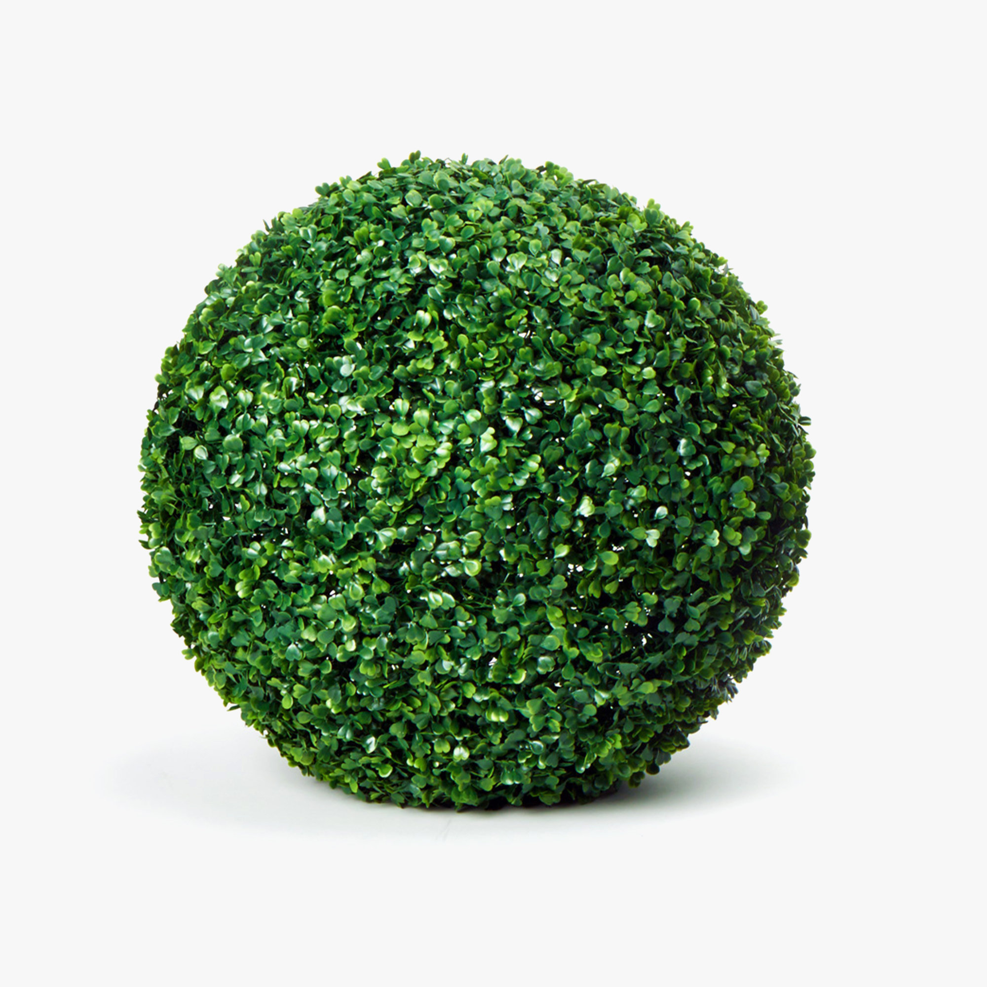 Charlton Home Plant Ball Boxwood Topiary - Wayfair Canada