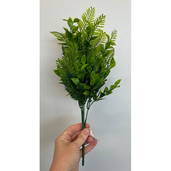 Primrue Silk Zamia Arrangement | Wayfair