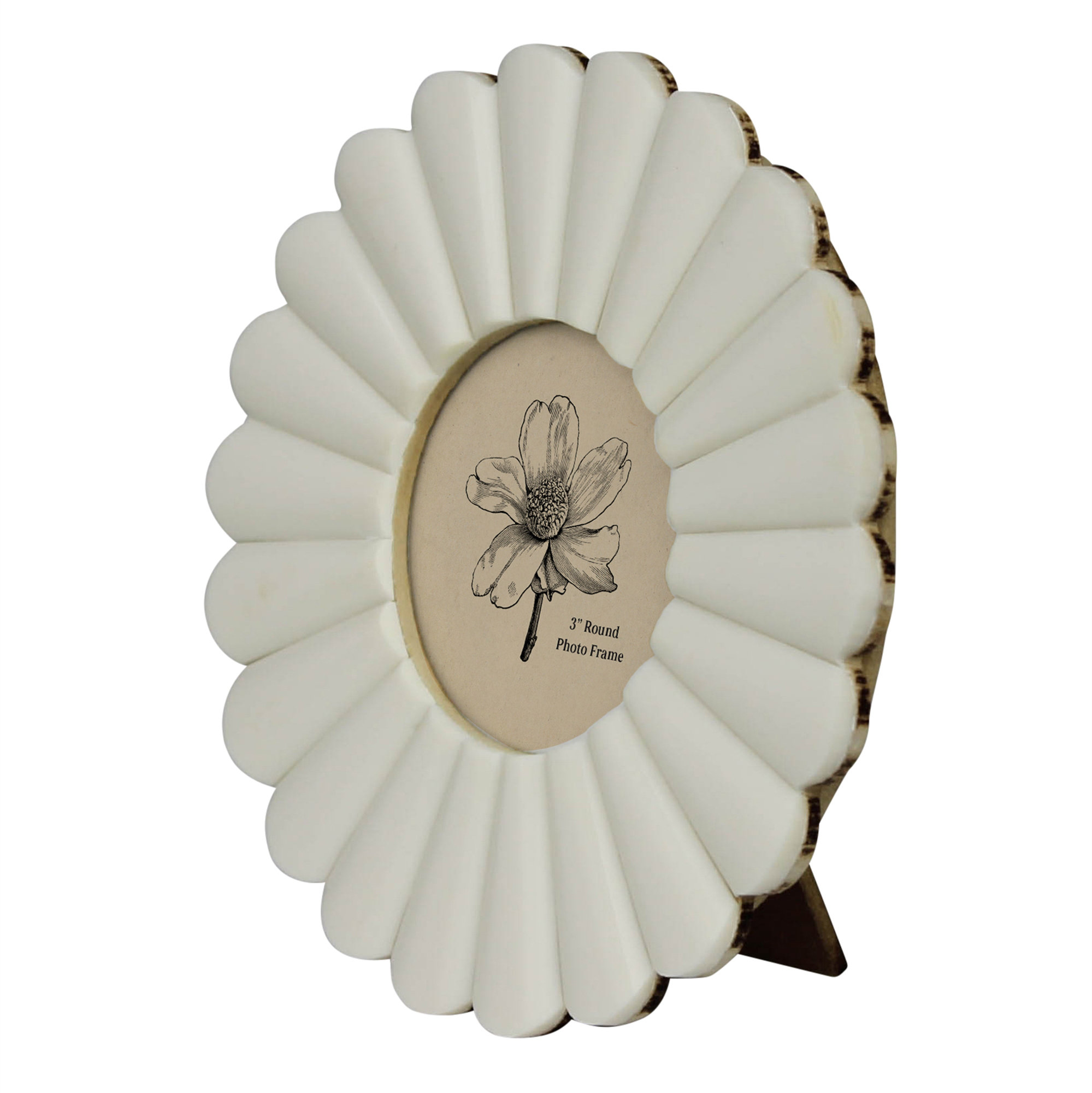 August Grove Scalloped Round Frame - 3” - Wayfair Canada