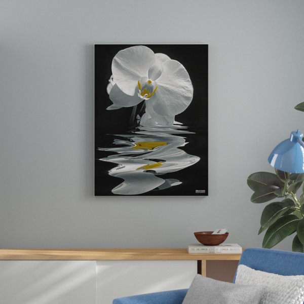 Ebern Designs 'White Orchid' - Wrapped Canvas Photographic Print ...