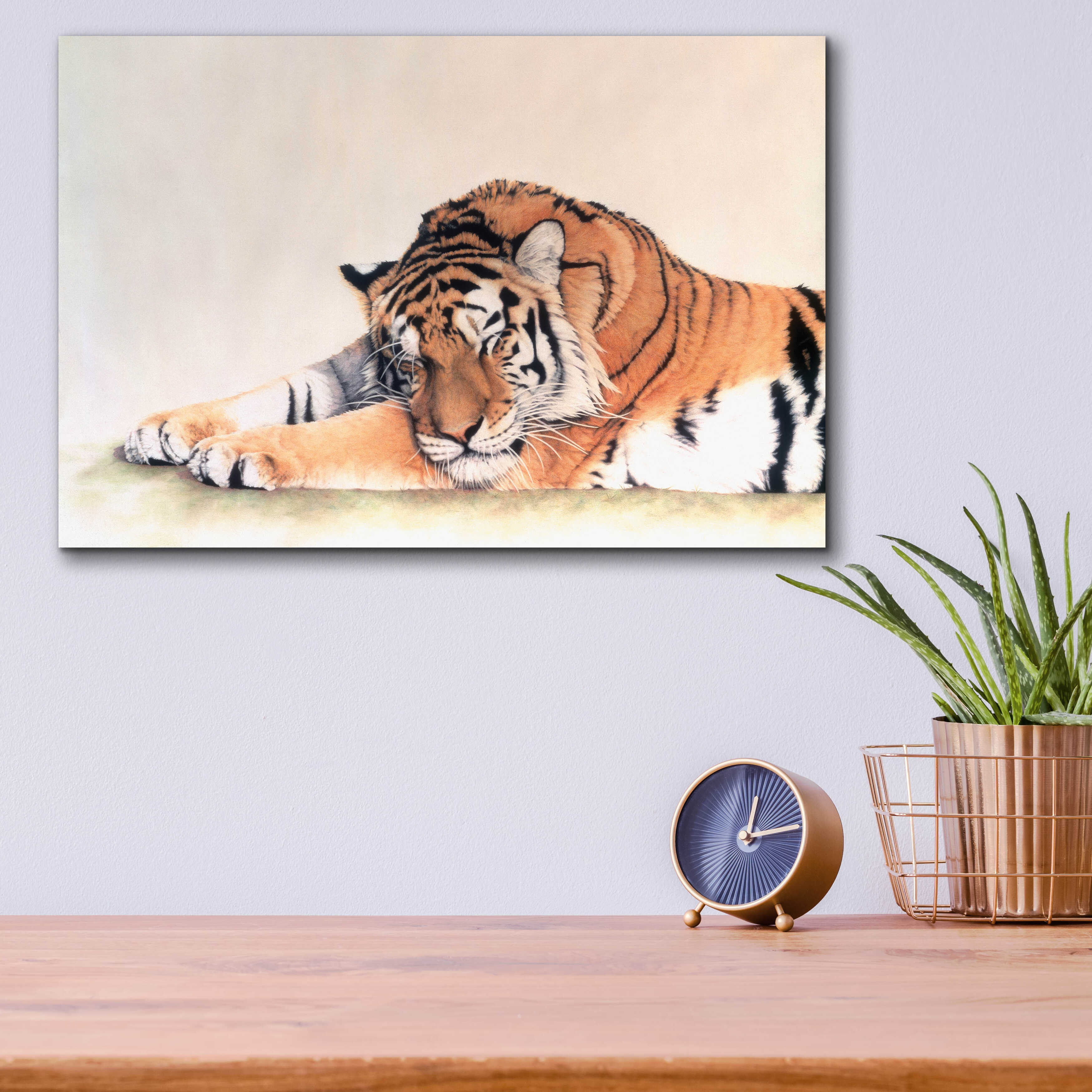 Bungalow Rose ''Sleeping Tiger'' By Jan Henderson, Acrylic Glass Wall ...