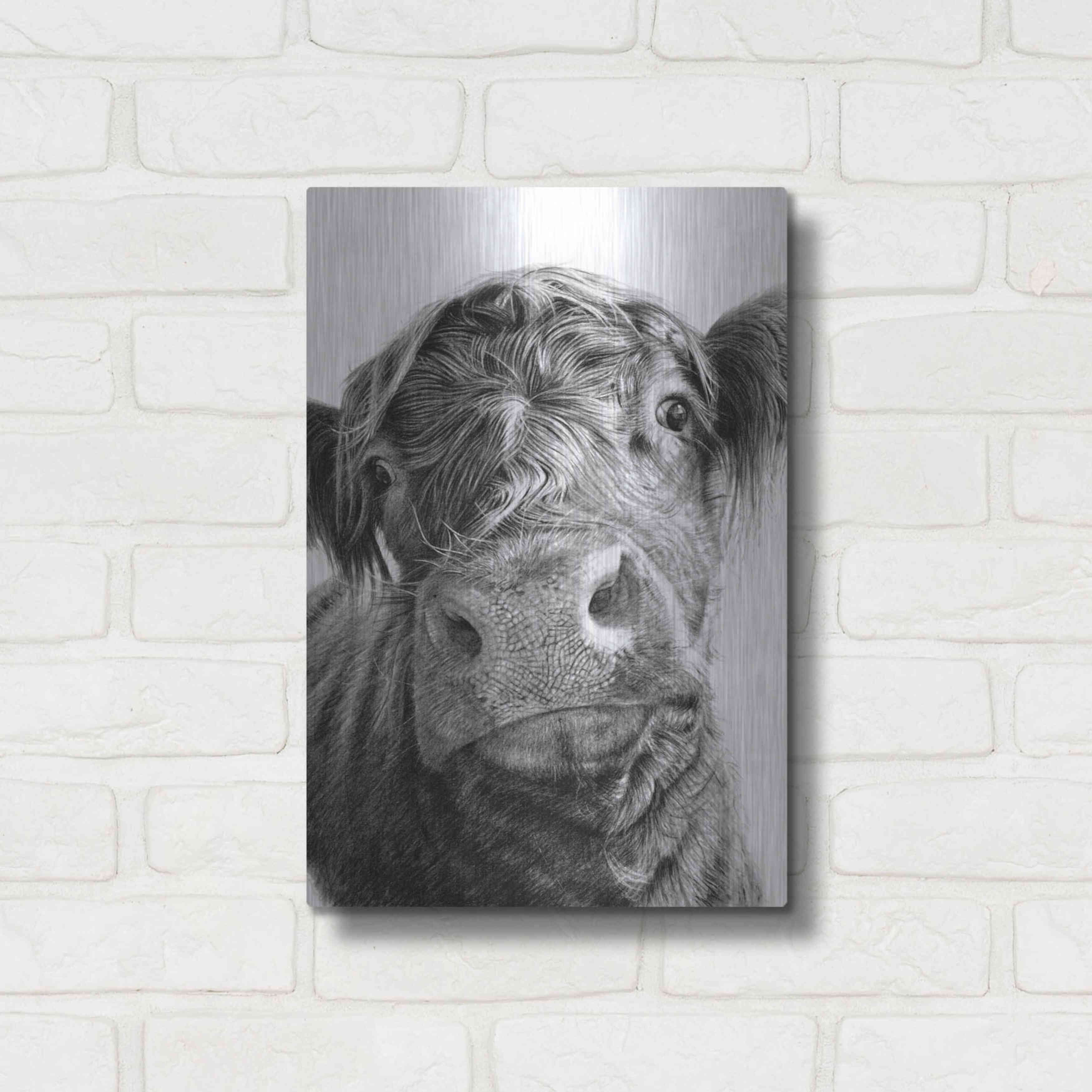 Gracie Oaks Luxe Metal Art 'Brenda' By Sam Dolman, Metal Wall Brenda by ...