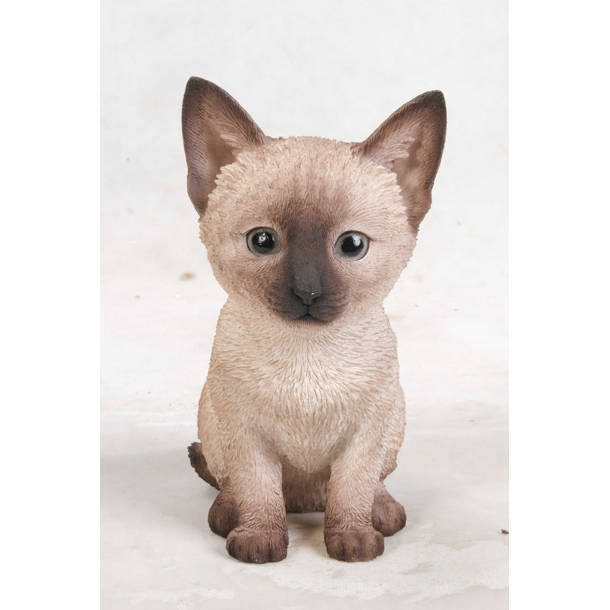 Hi-Line Gift Ltd. Siamese Kitten Statue & Reviews | Wayfair