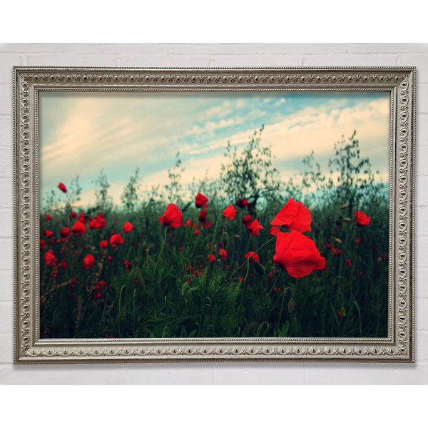 Bright Star Red Poppies On A Windy Day - Single Picture Frame Print ...