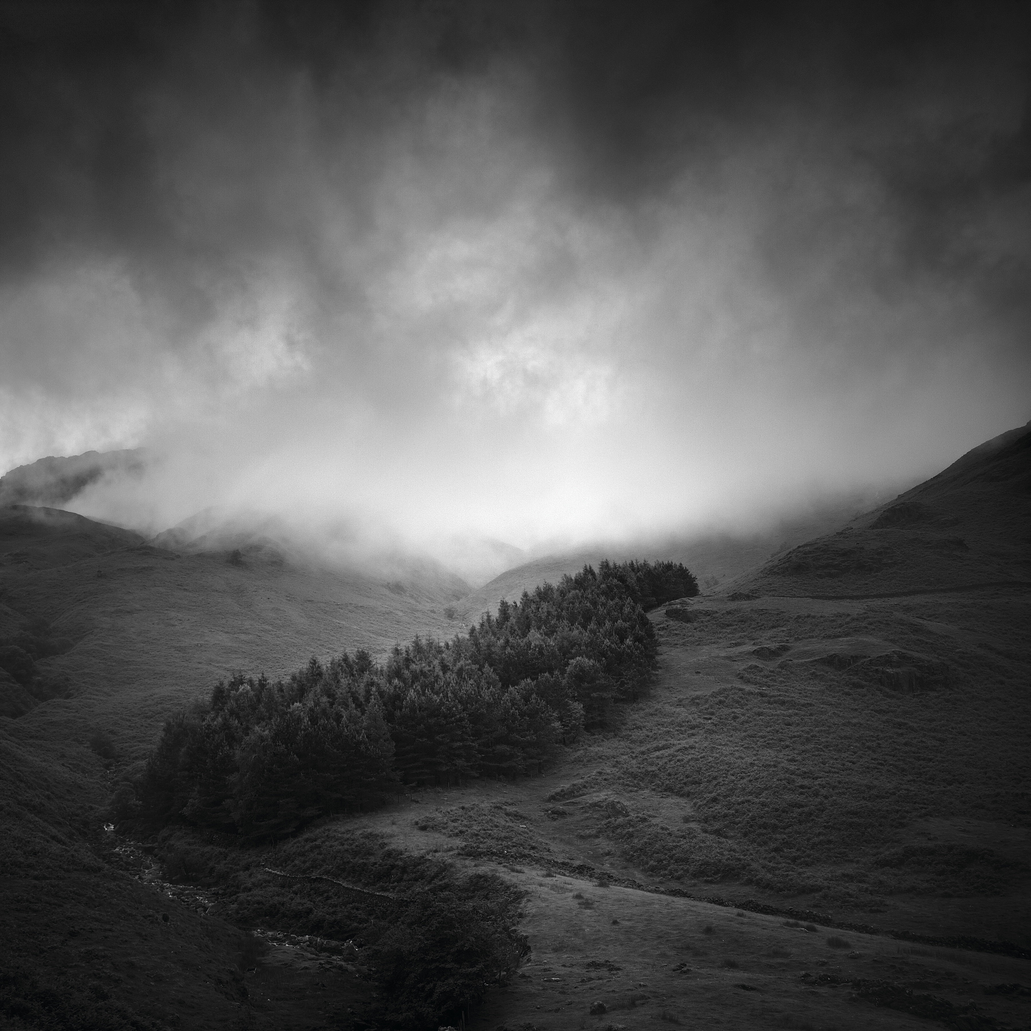 Red Barrel Studio® Misty Weather I | Wayfair