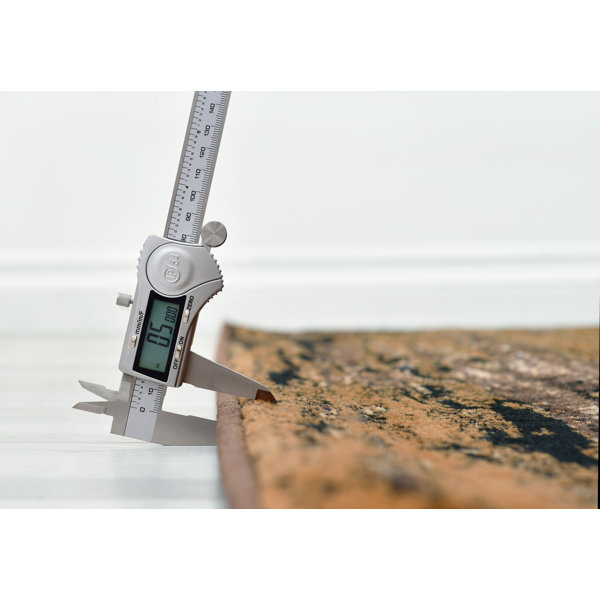 17 Stories Misouk Performance Chocolate Rug & Reviews | Wayfair