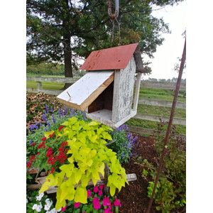 Home Bazaar Bird in Hand Bird Shack 13 in x 7 in x 7 in Birdhouse ...