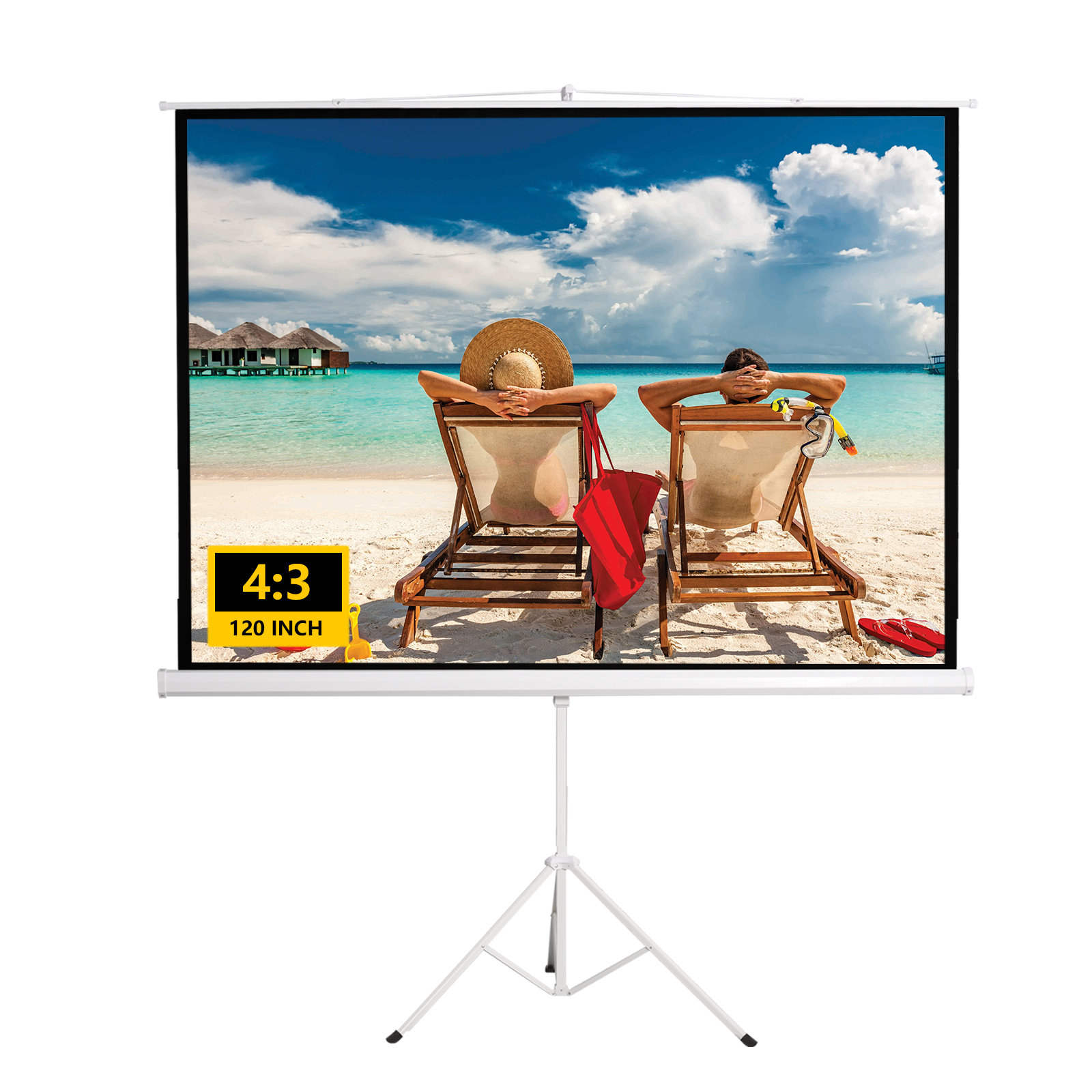 LUCKYREMORE Projector Screen | Wayfair