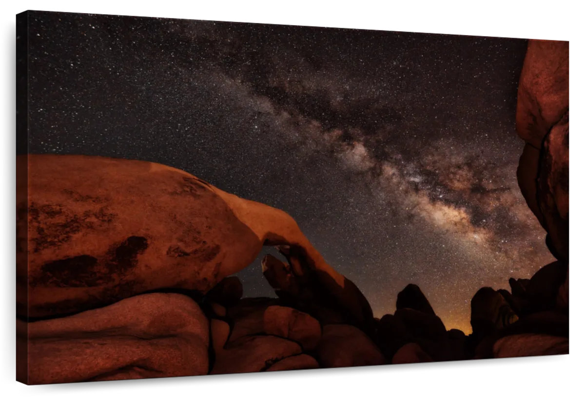 Elephant Stock Starry Joshua Tree National Park | Wayfair