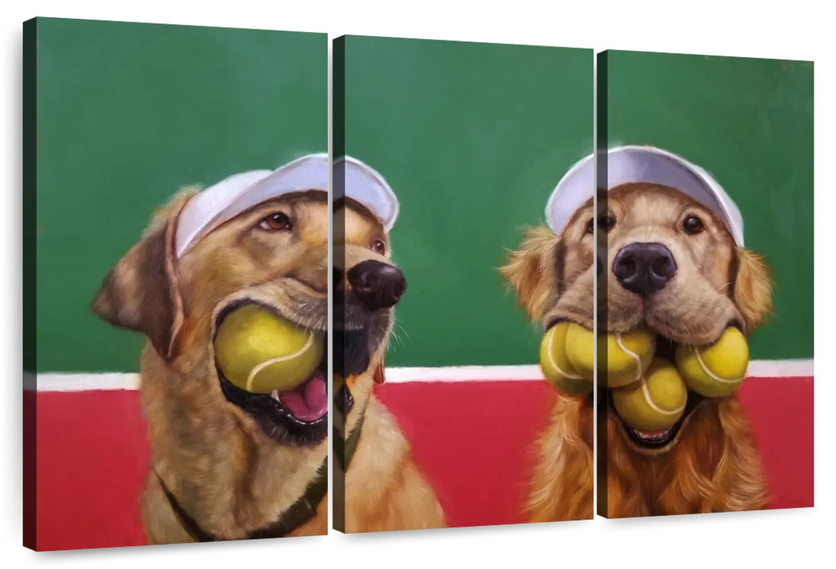 Ebern Designs Ball Hog | Wayfair