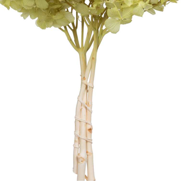 Primrue Natural Botanicals 15" Hydrangea with Multiple Branch Segments ...