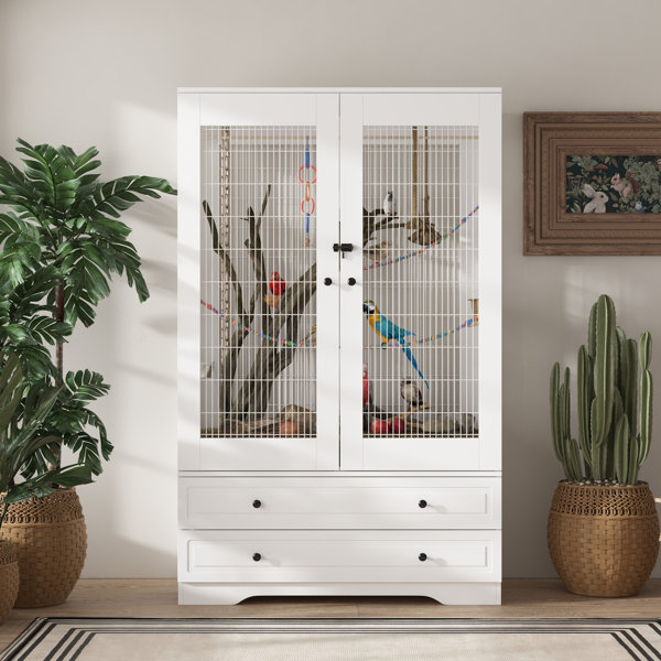 Bird Cages You'll Love | Wayfair