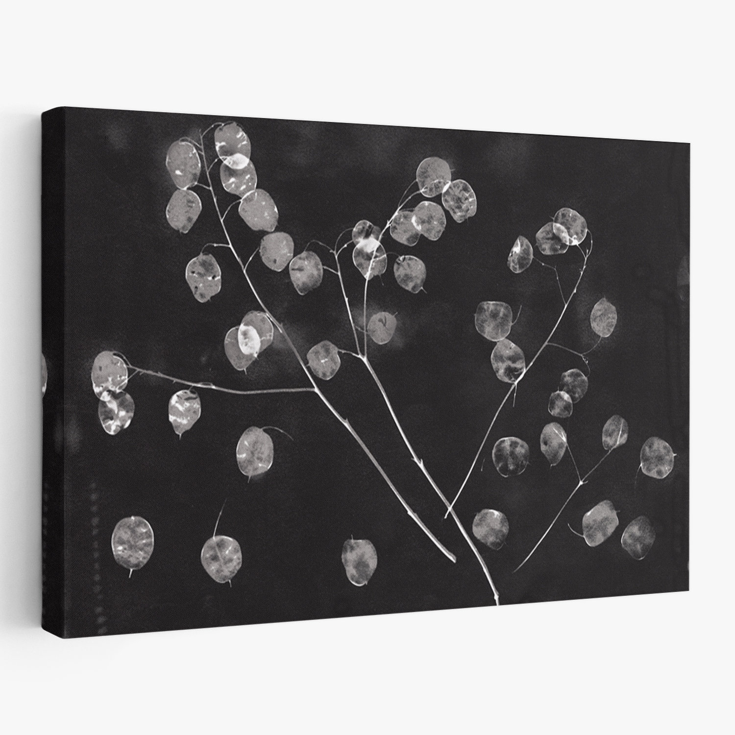 George Oliver Minimalist And Modern Nature By The Lake Honesty Black ...