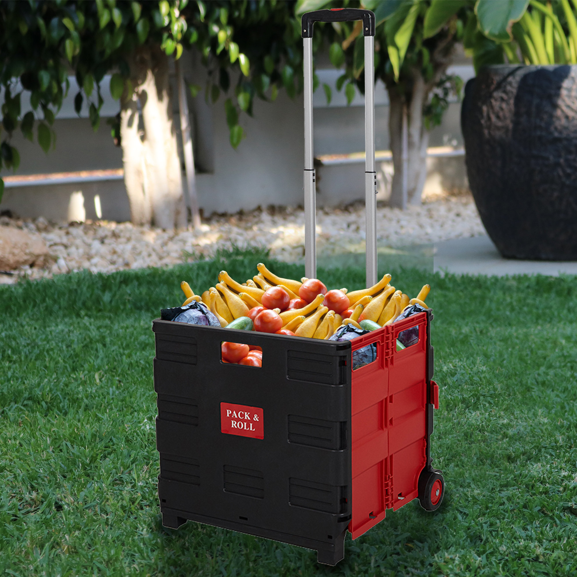 LUCKYREMORE Folding Two-Wheeled Trolley Hand Cart & Reviews - Wayfair ...