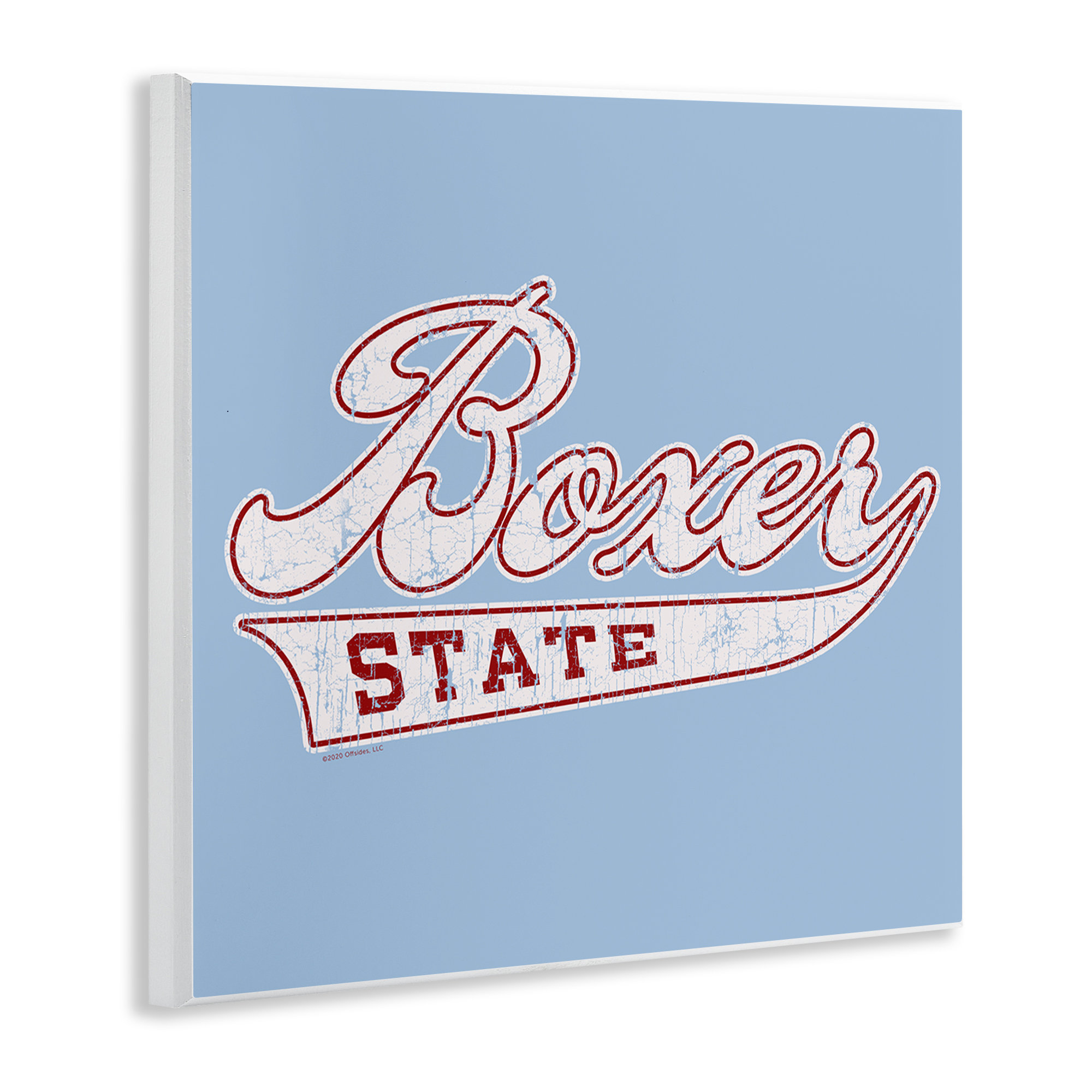 Ebern Designs Boxer State Varsity Style Wall Plaque Art by Spirit ...