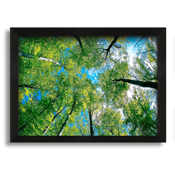 Union Rustic Forest Sky View - Single Picture Frame Print on Canvas ...