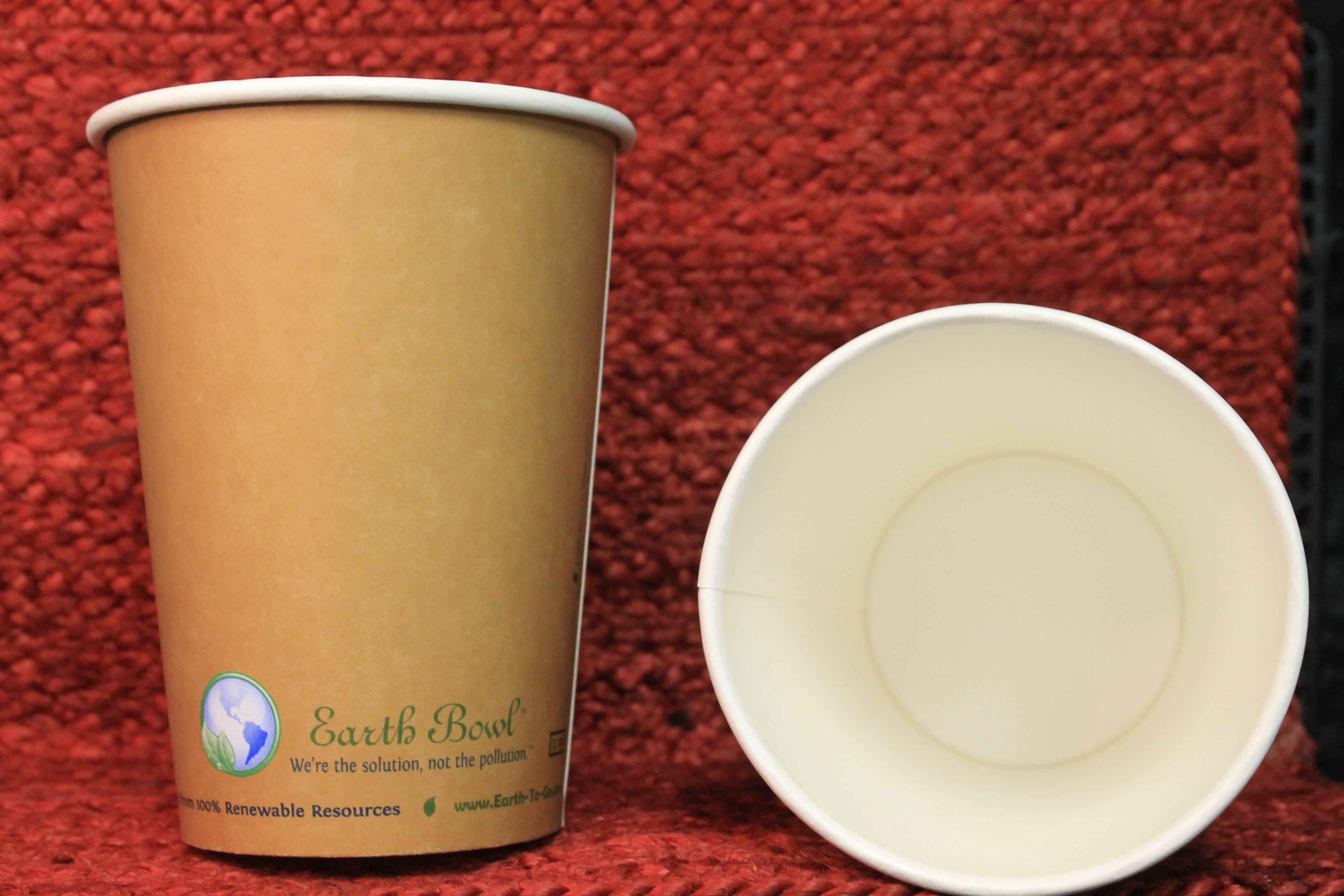 Earth-To-Go EARTH BOWL - Wayfair Canada
