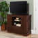 Charlton Home® Phillipston 42'' Media Console & Reviews | Wayfair
