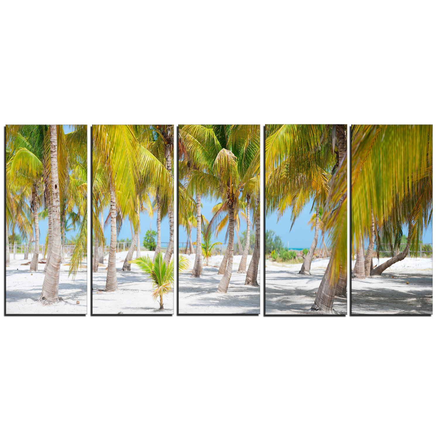 Design Art 'Palm Trees' Photograph Print - Wayfair Canada