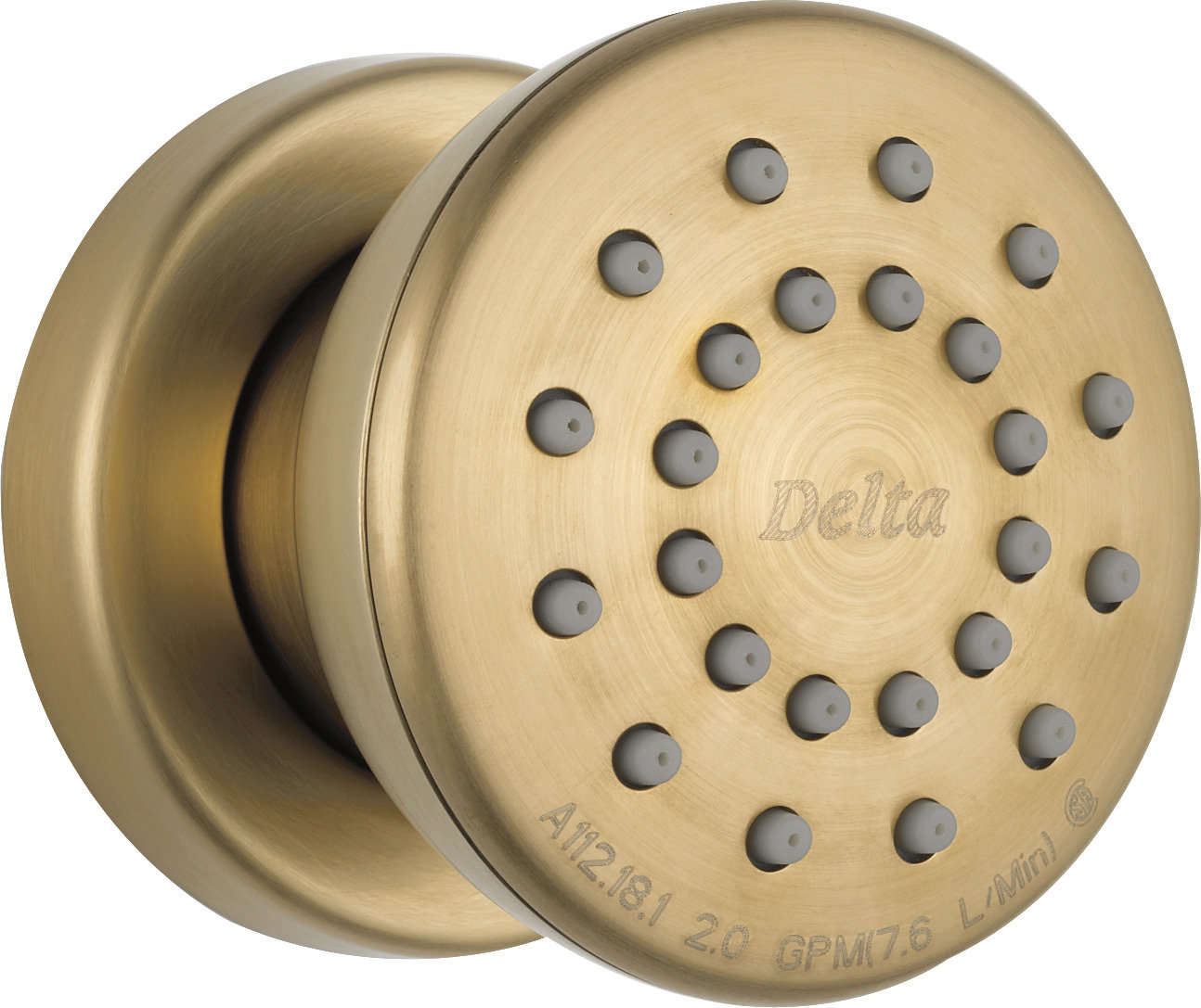 Delta Full Adjustable Body Spray with TouchClean & Reviews | Wayfair