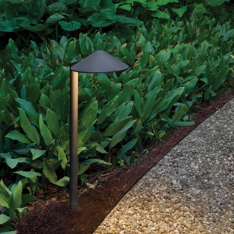 Hinkley Hardy Island Brown Low Voltage Pathway Light | Wayfair