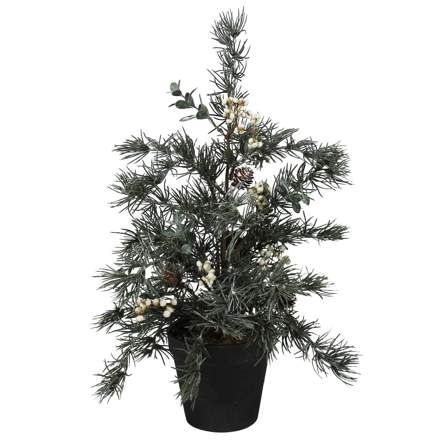 Ophelia & Co. Tree - Pine & Cypress | Wayfair
