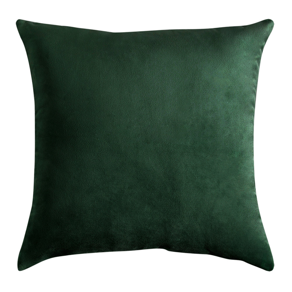 WARISI Square Velvet Pillow Cover and Insert & Reviews | Wayfair