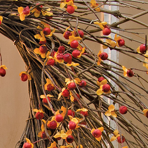 August Grove® Bittersweet 22" Twig Wreath & Reviews | Wayfair