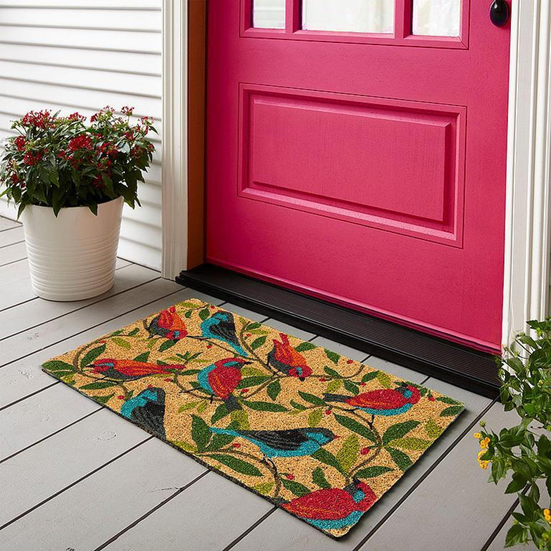 Ophelia & Co. Colourful Birds Doormat | Wayfair