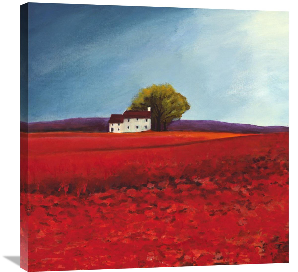 Global Gallery 'Field of Poppies' by Philip Bloom Painting Print on ...