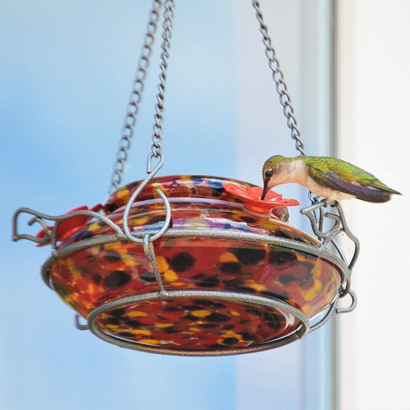 Arlmont & Co. Occeus Hummingbird Feeder | Wayfair