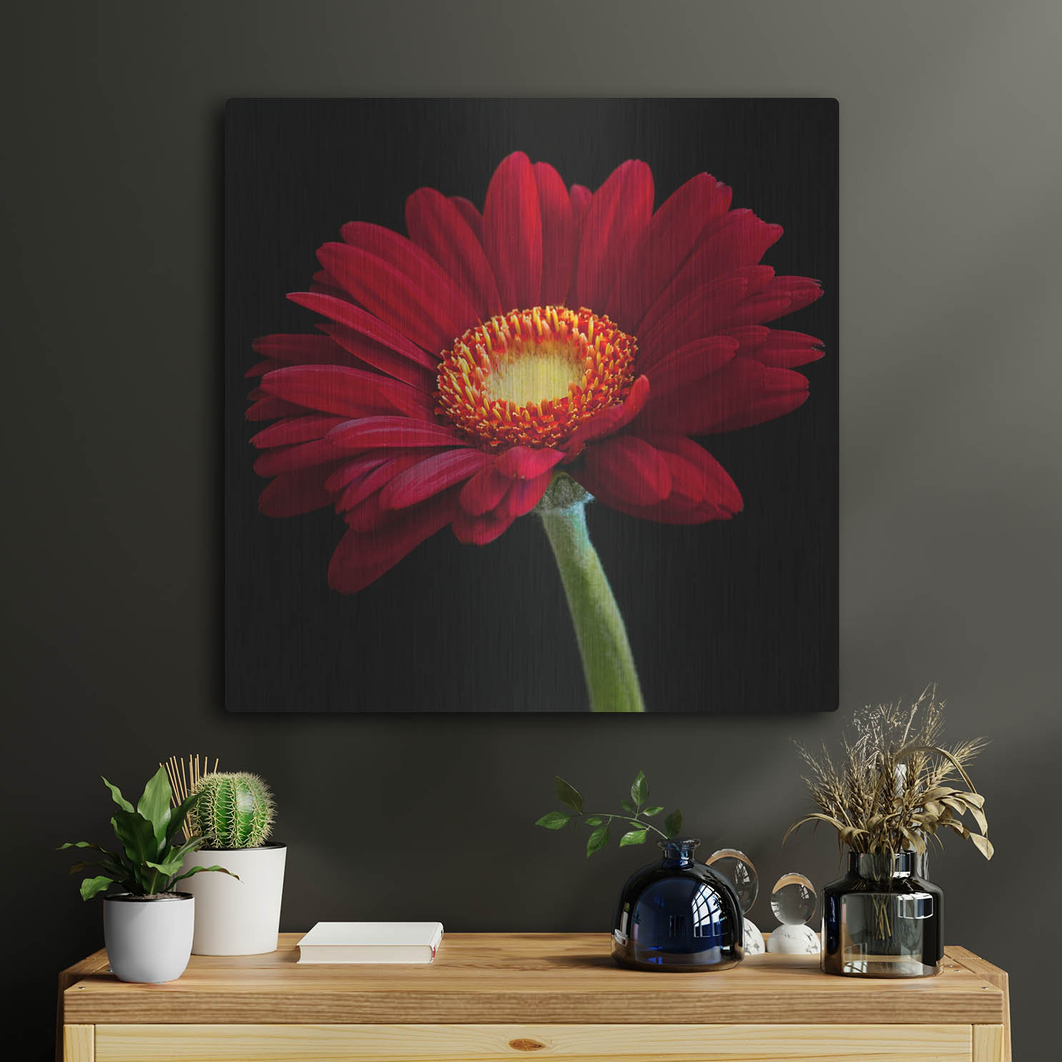 Latitude Run® Latitude RunÂ® 'Red Gerbera on Black 01' by Tom ...