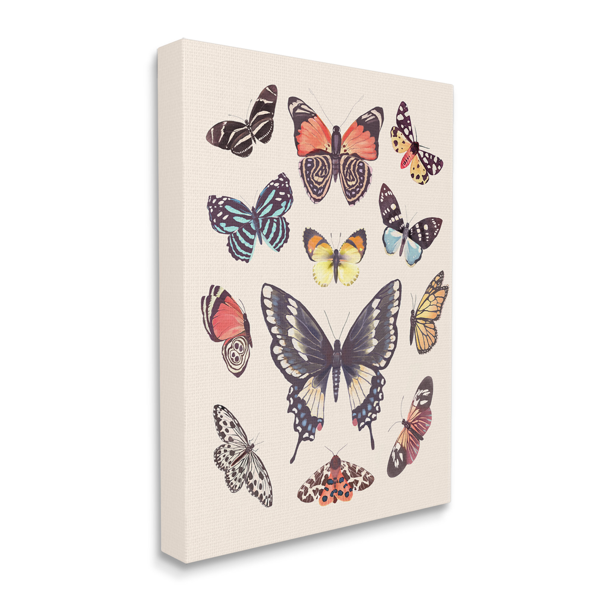 August Grove® Cottage Moths & Butterflies On Canvas by Diane Neukirch ...