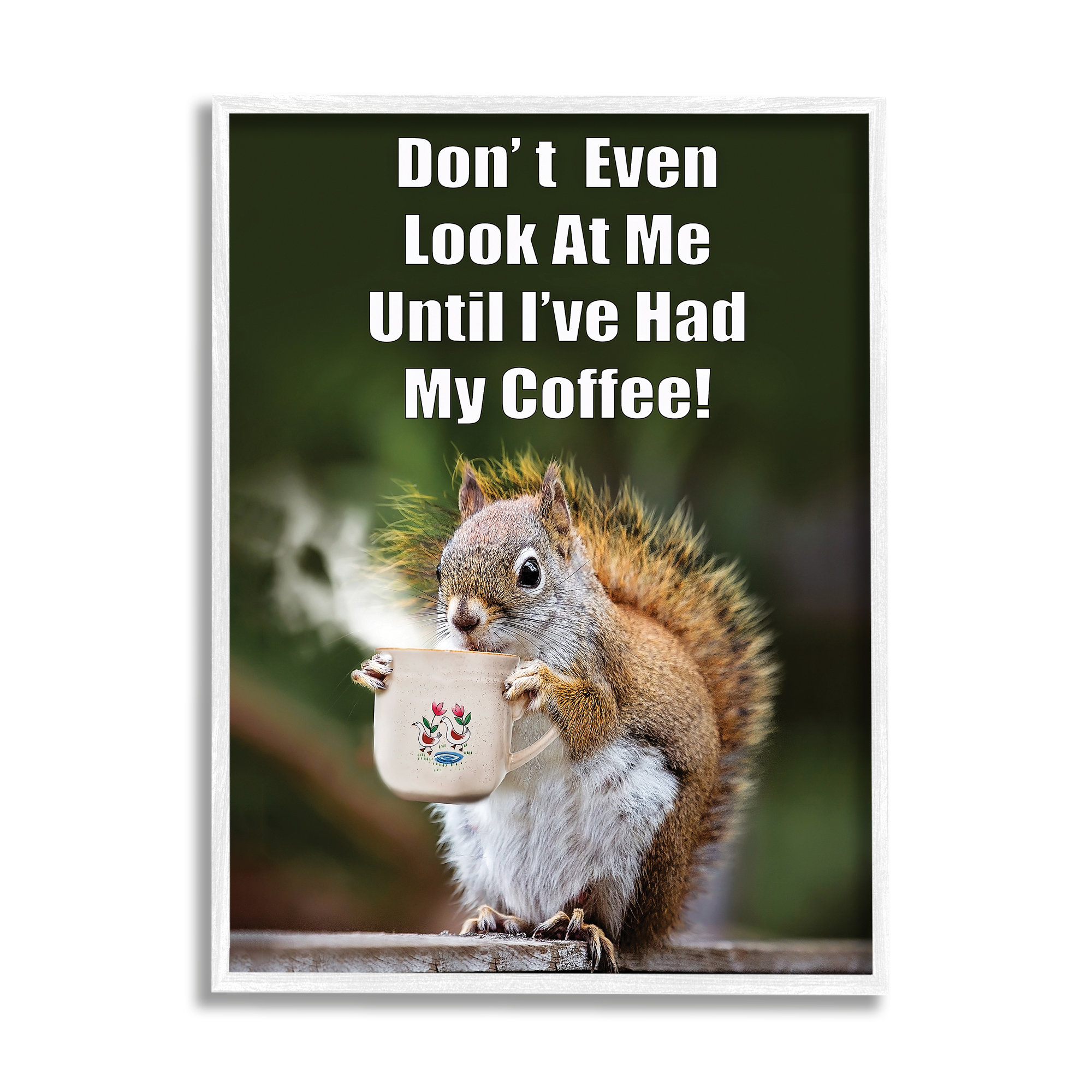 Trinx Funny Squirrel Coffee Phrase Framed Giclee Art Design By Karen ...