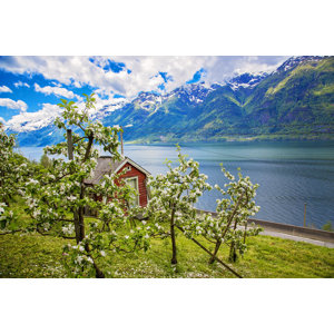 Alpen Home Hardanger Fjord in May, Norway by Liliportfolio - Wrapped ...