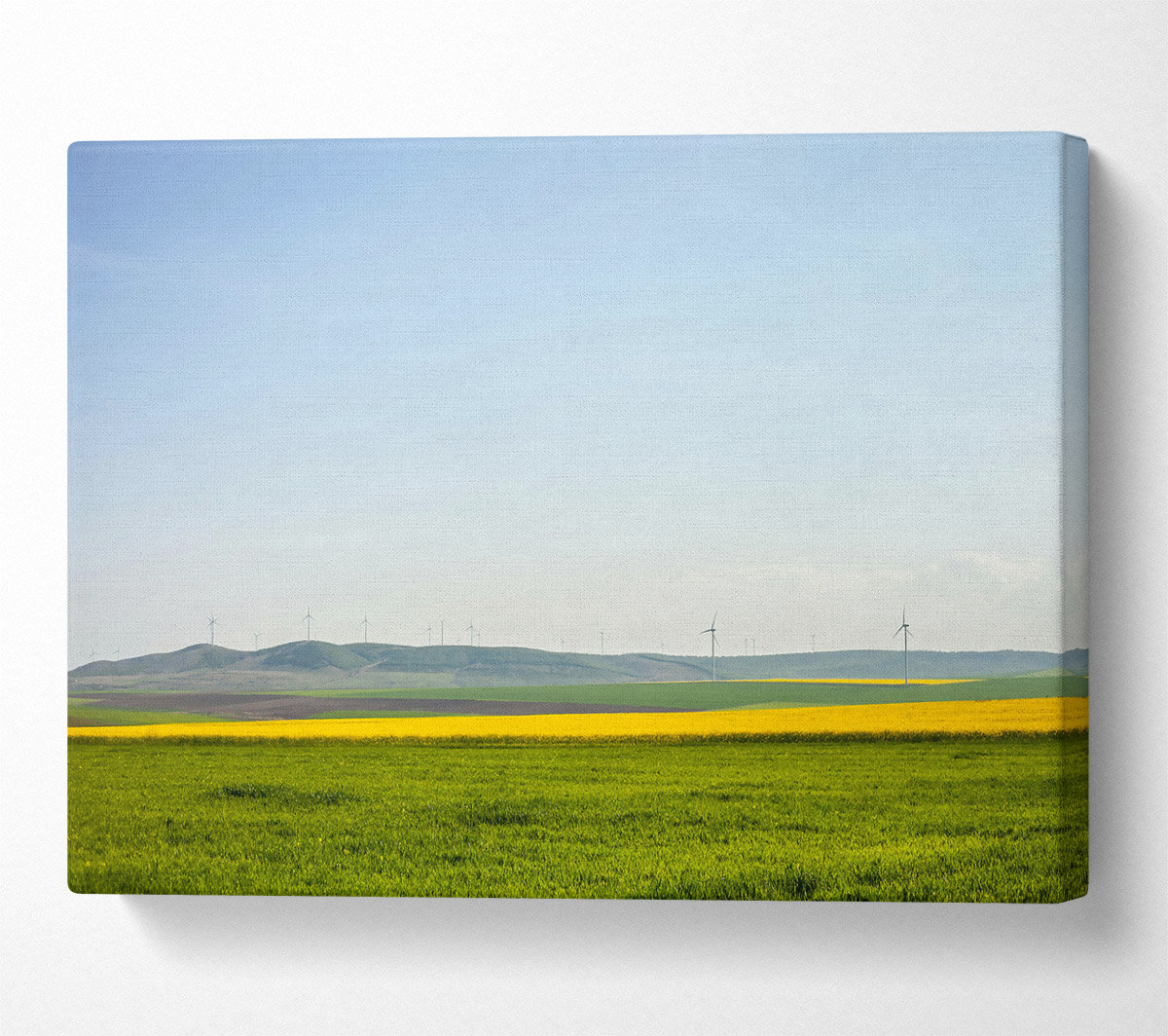 Lily Manor No Frame Print on Canvas | Wayfair.co.uk