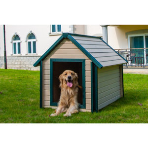 Dog Houses You'll Love - Wayfair Canada