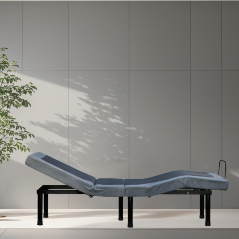 Alwyn Home Wireless remote control and adjustable bed frame with ...