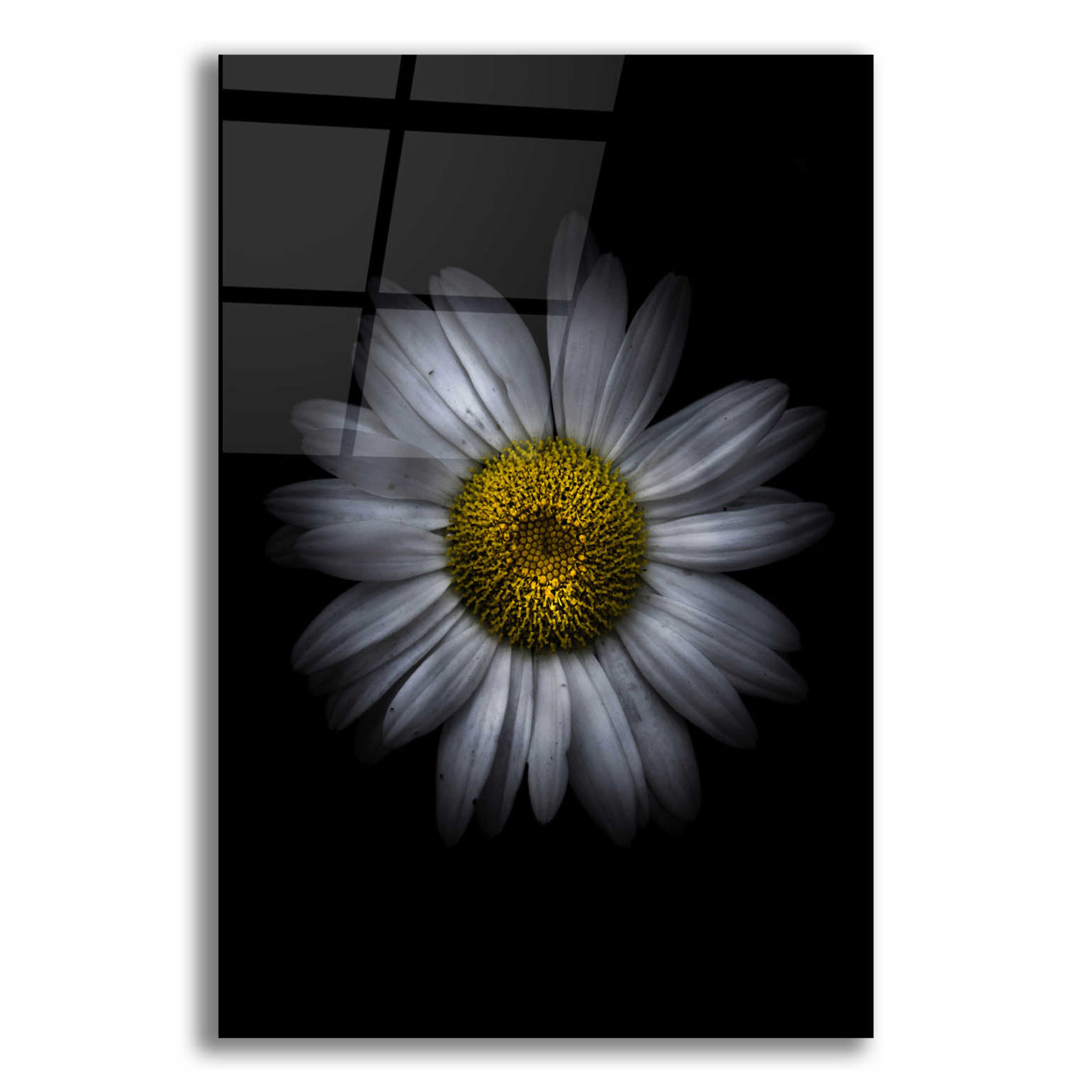 Latitude Run® ''Backyard Flowers 13 Colour Version'' By Brian Carson ...