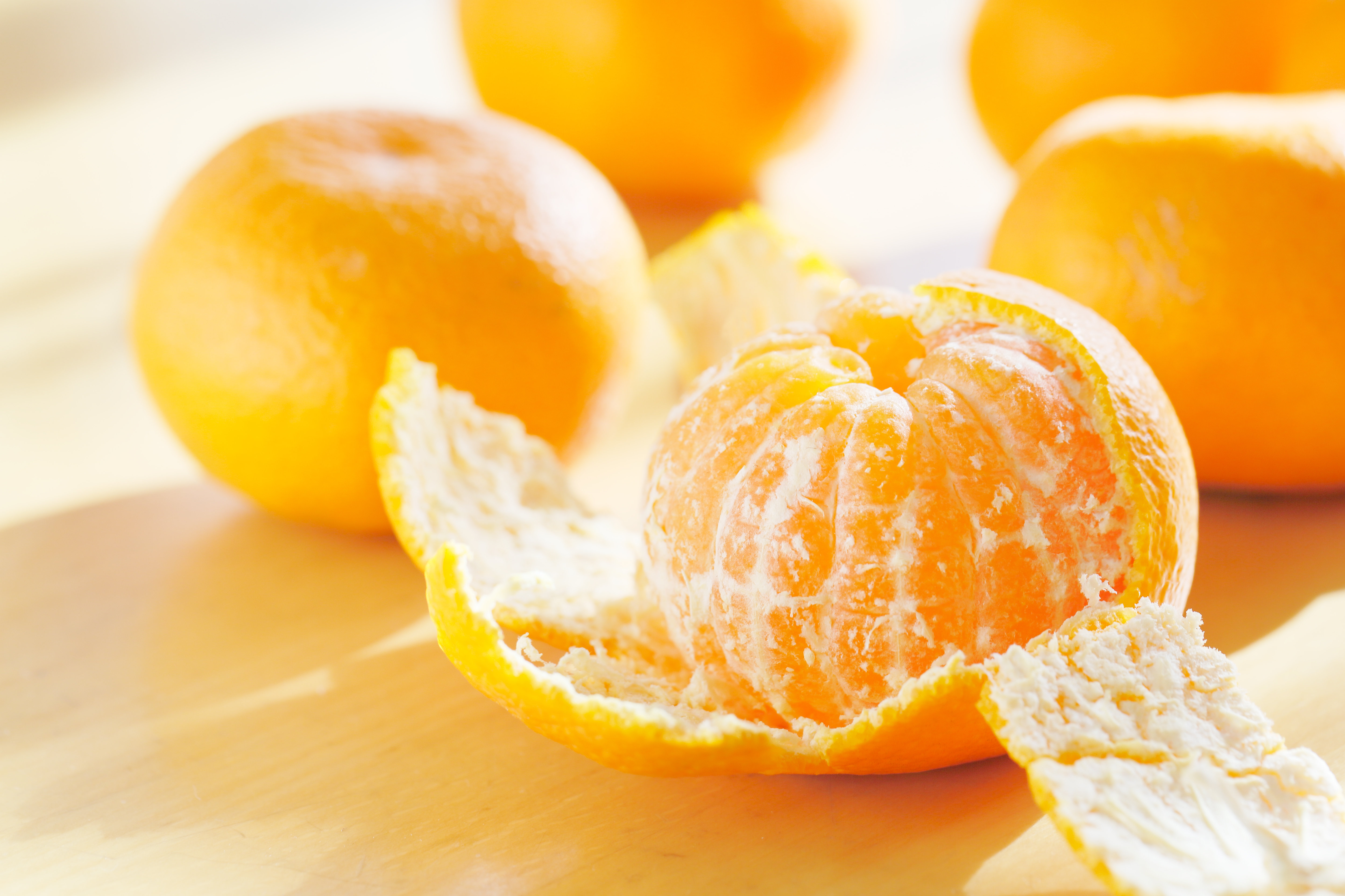 17 Stories Mandarin Orange | Wayfair.co.uk