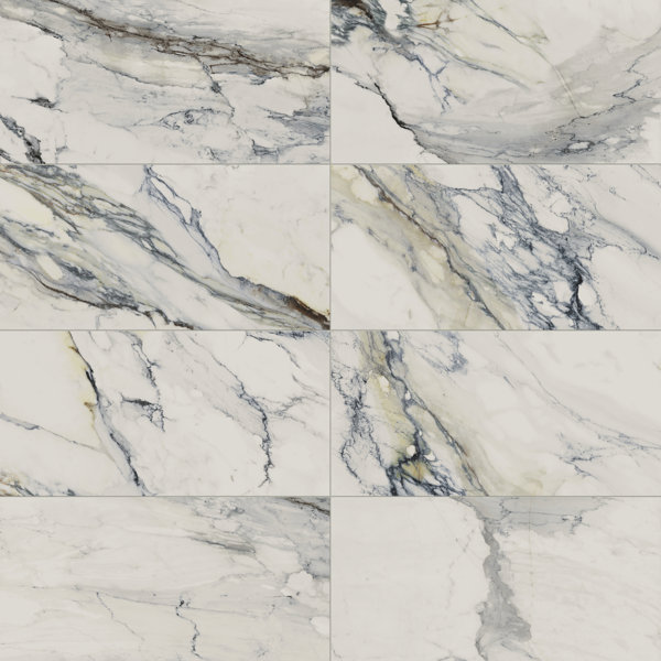 Edward Martin Aniston 24" x 48" Porcelain Marble Look Indoor/Outdoor ...