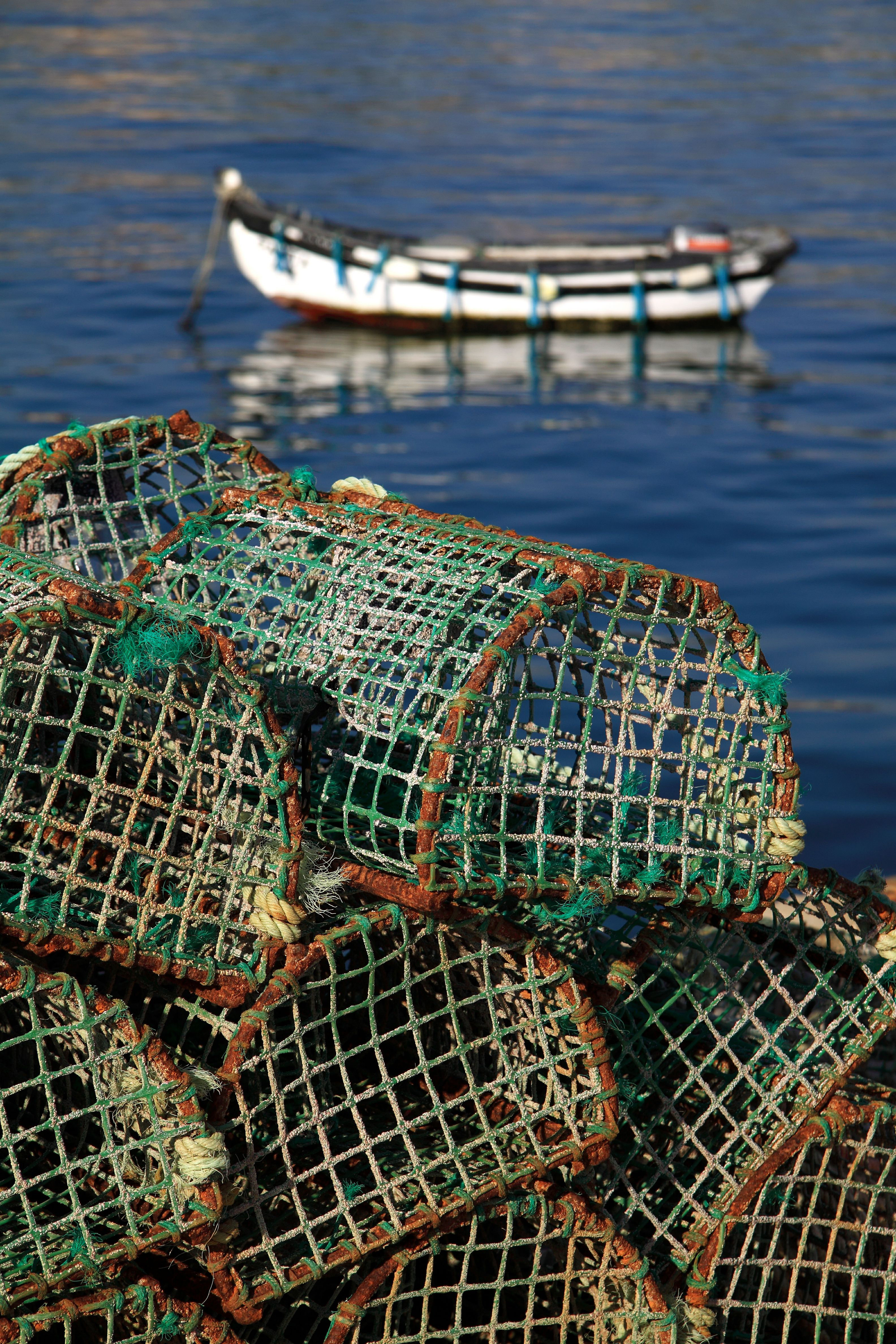 Breakwater Bay Fish Traps with Fishing Boat by Johncopland - Wrapped ...