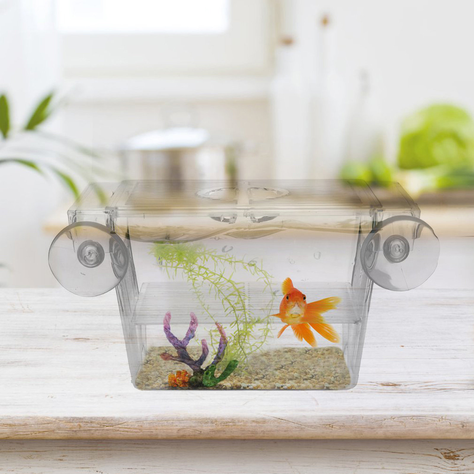 Tucker Murphy Pet™ Aquarium Hatching Incubators Double Layer Plastic ...
