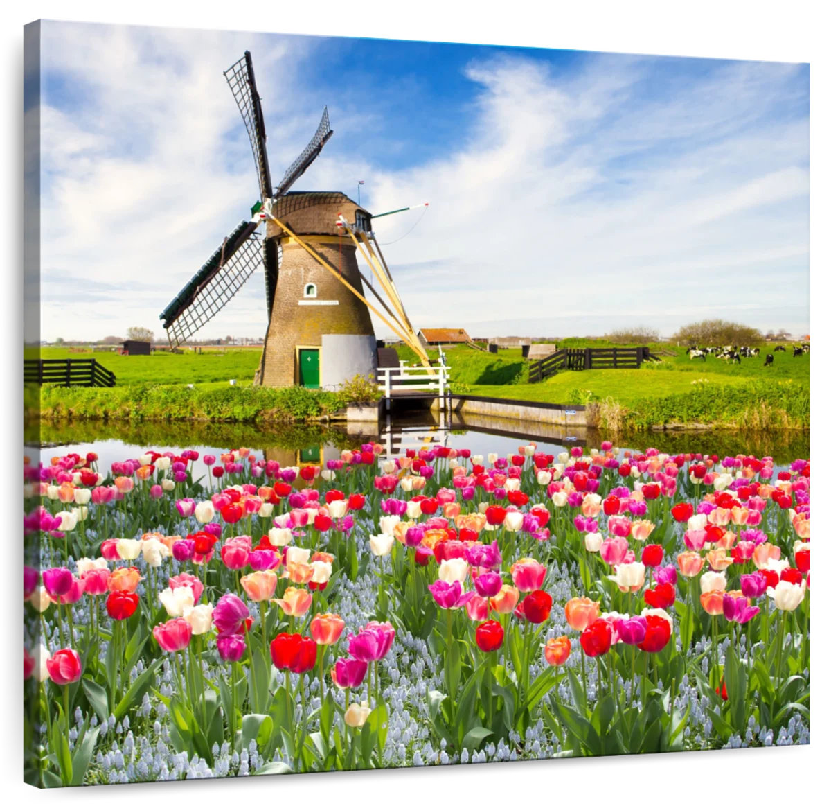 Elephant Stock Holland Windmill And Tulips | Wayfair