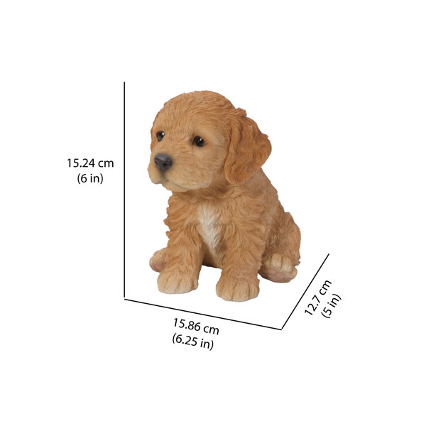 Hi-Line Gift Ltd. Sitting Cockapoo Puppy Statue & Reviews | Wayfair