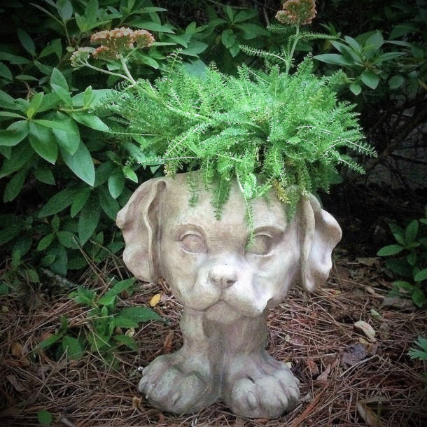 HomeStyles Muggly's Scruffy the Cat Animal Statue & Reviews | Wayfair
