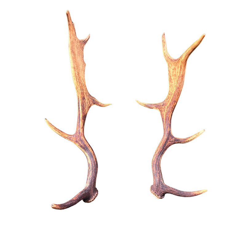 Millwood Pines Real Fallow Deer Antler Set | Wayfair