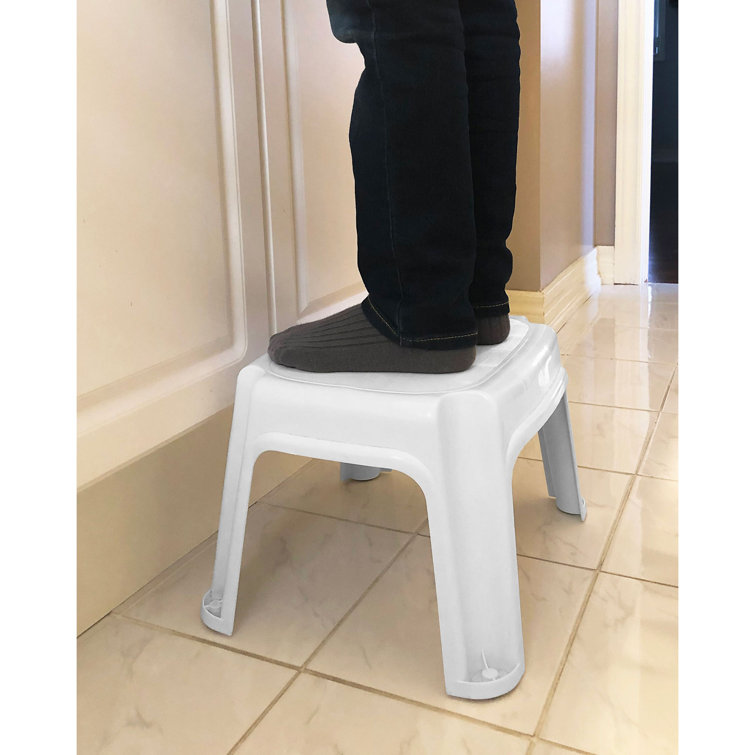 Gracious Living 1 - Step Plastic Lightweight Step Stool & Reviews | Wayfair