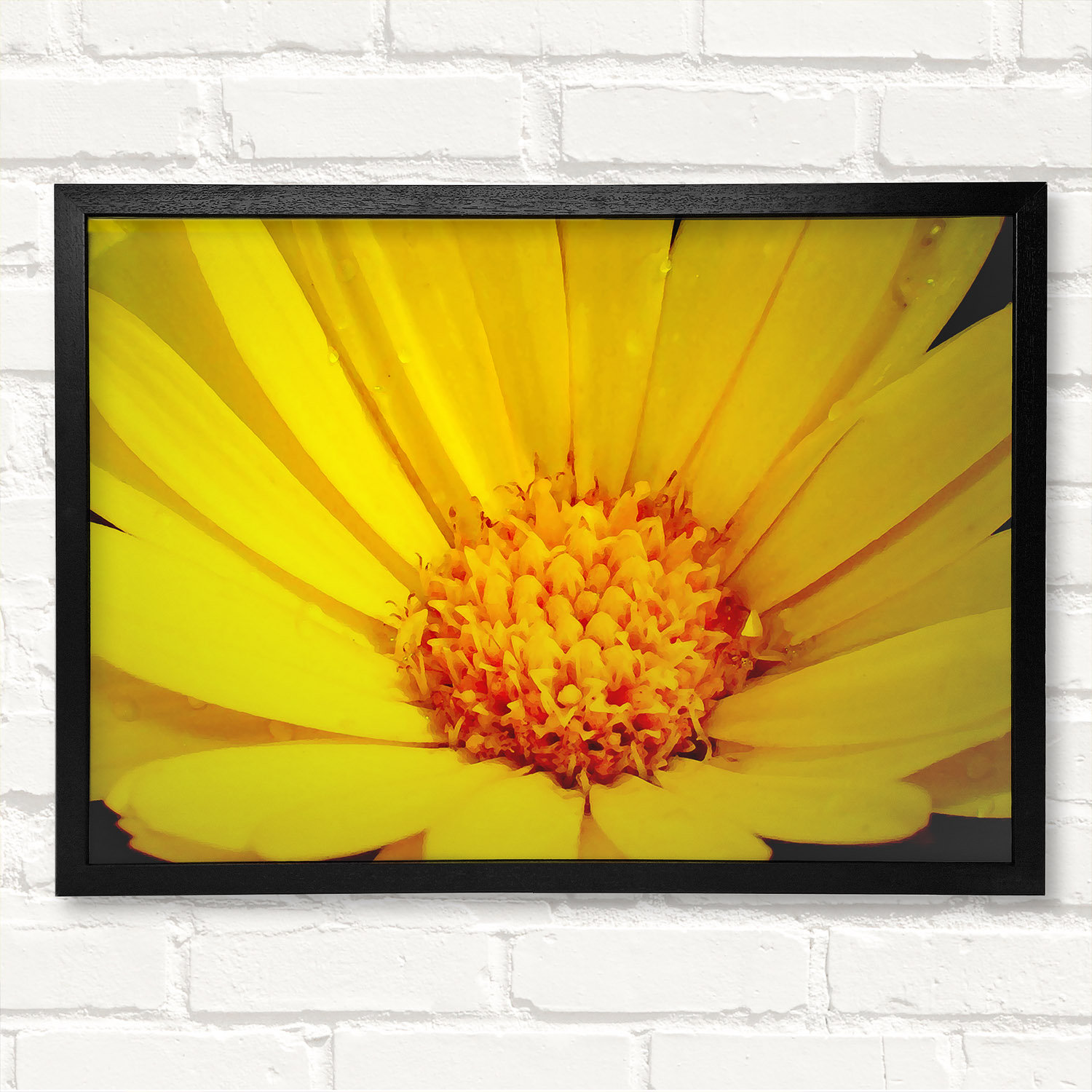 Ebern Designs Golden Yellow Daisy - Print | Wayfair.co.uk